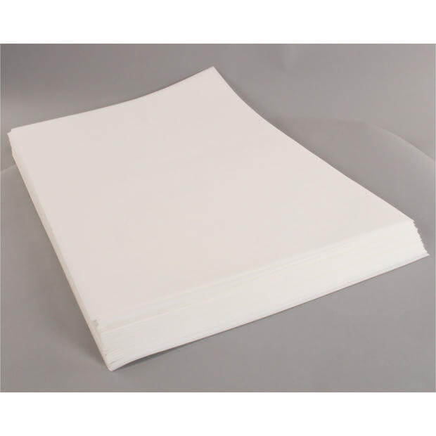 Frymaster Filter Paper Oil Filter Frymaster T9 Polyester 500 X 700mm